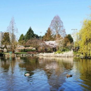 MINORU PARK - Updated December 2025 - 137 Photos & 26 Reviews - 7191 ...