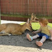 WISCONSIN DEER PARK - 217 Photos & 119 Reviews - 583 Wisconsin Dells ...