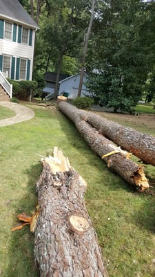 RYAN TREE SERVICE - Updated October 2025 - 11 Photos & 26 Reviews ...