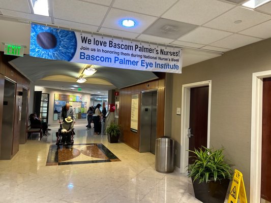 BASCOM PALMER EYE INSTITUTE - Updated December 2025 - 41 Photos & 245 ...