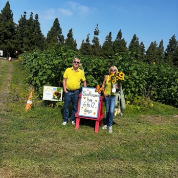HANA FIELD BY TANAKA FARMS - Updated June 2024 - 374 Photos & 160 ...