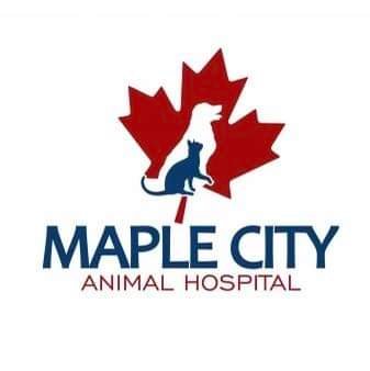 MAPLE CITY ANIMAL HOSPITAL - Updated June 2026 - Request Consultation ...