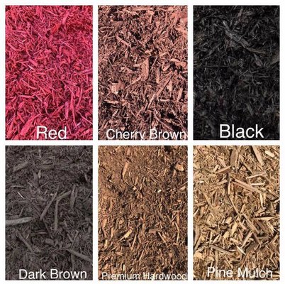 KACHUR TREE SERVICE - Updated December 2025 - 45 Photos - 316 Fulkerson ...