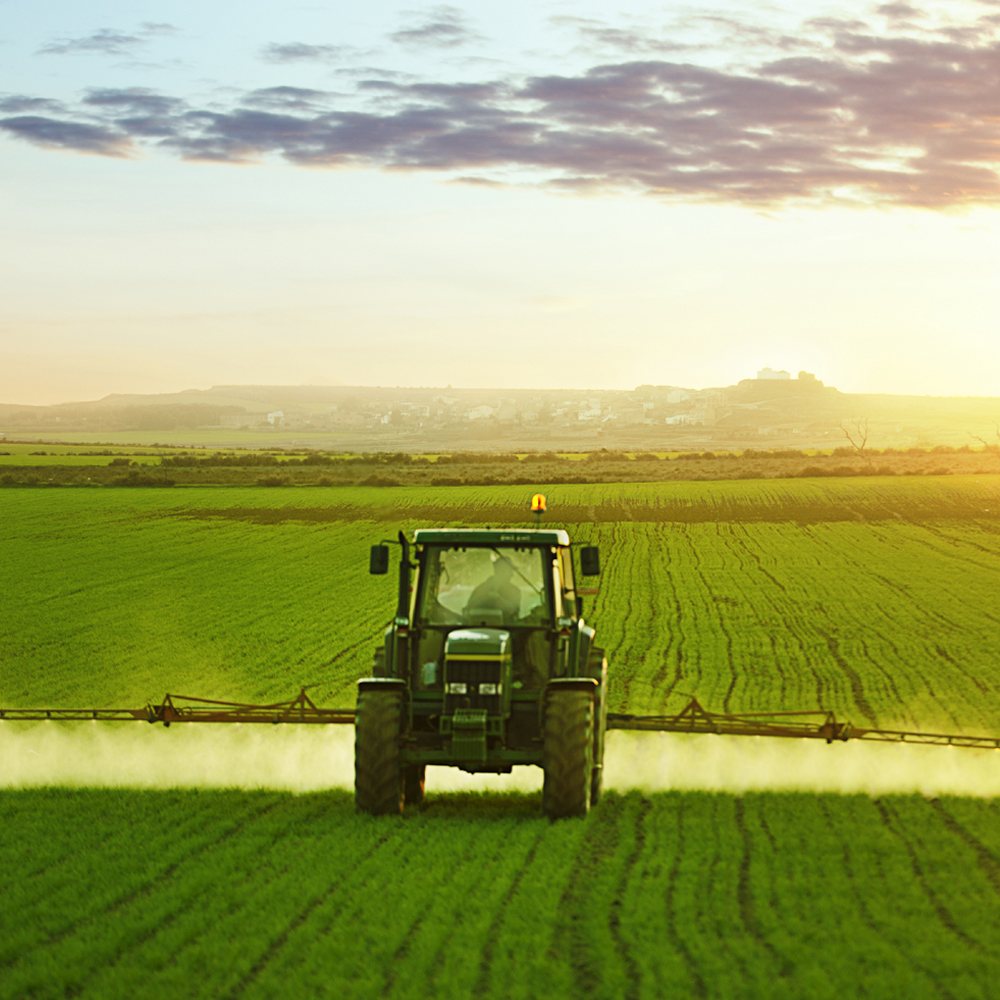 COURTNEY LUTTRELL - Phenix City, AL - Yelp