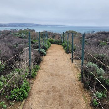 DANA POINT HEADLANDS CONSERVATION AREA - Updated August 2025 - 166 ...