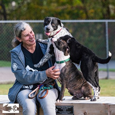 HUMANE SOCIETY OF CHITTENDEN COUNTY - Updated June 2026 - 15 Reviews ...
