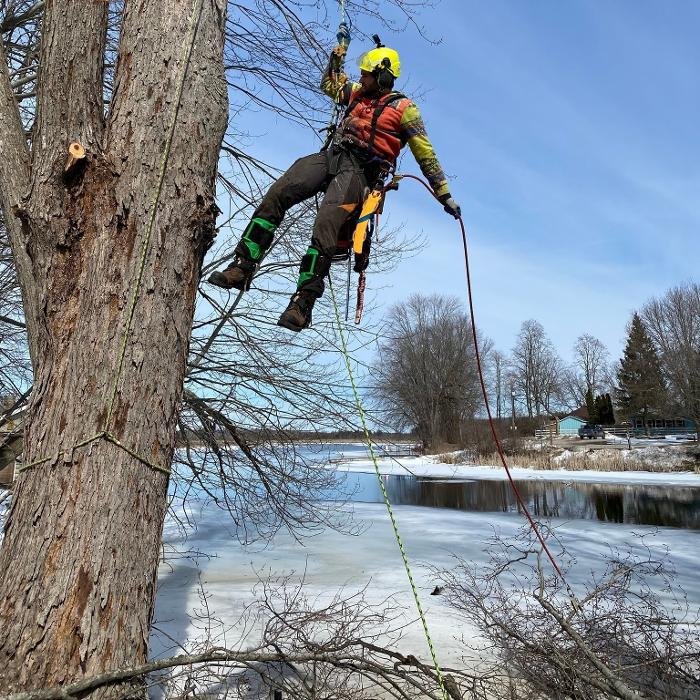 RUBY’S TREE CARE - Updated January 2026 - 3604 Pine Grove Road, Seeley ...