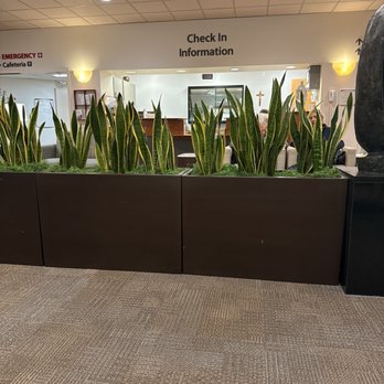 ST. FRANCIS HOSPITAL - Updated January 2026 - 16 Photos & 185 Reviews ...