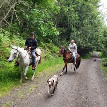 RED HAWK STABLES - Updated October 2025 - 22 Photos & 16 Reviews - 1445 ...