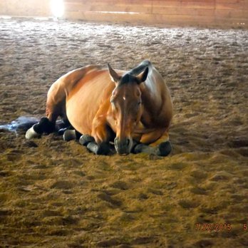 SHOOTING STAR RANCH - Updated September 2025 - 14 Photos - 17880 SE ...