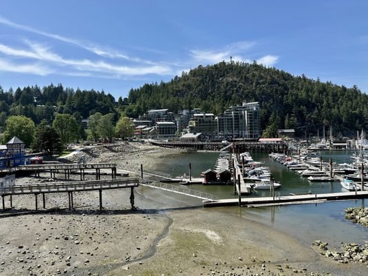 SEWELL’S MARINA - Updated December 2025 - 73 Photos & 33 Reviews - 6409 ...