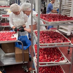 ALEXANDRA FOODS - Updated July 2025 - 44 Photos & 64 Reviews - 3300 N ...