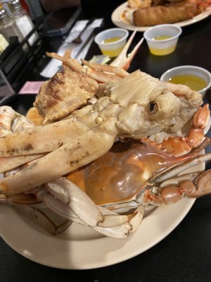 CAJUN CATFISH BUFFET - Updated December 2025 - 75 Photos & 48 Reviews ...