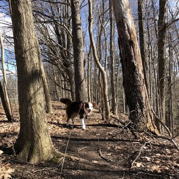 VILLAGE OF MANLIUS - Updated May 2024 - 10 Photos - One Arkie Albanese ...