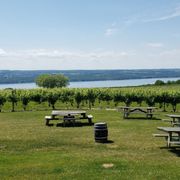 WAGNER VINEYARDS ESTATE WINERY & WAGNER VALLEY BREWING CO - 199 Photos ...