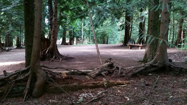 MEINIG MEMORIAL PARK - Updated December 2025 - 10 Reviews - 17670 ...