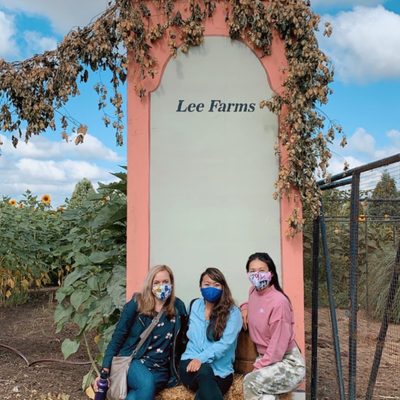 LEE FARMS - 138 Photos & 132 Reviews - Christmas Trees - 21975 SW 65th ...