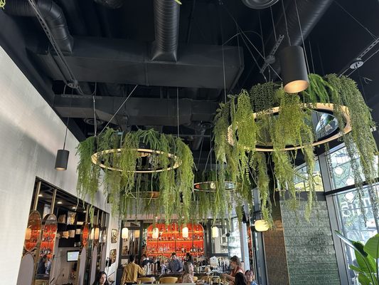 SULA INDIAN RESTAURANT - DAVIE STREET - Updated January 2026 - 66 ...