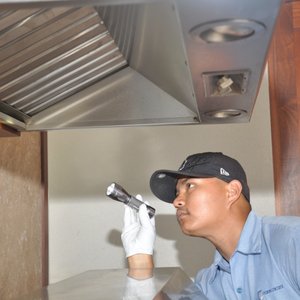 PEST TECH HAWAII - Updated May 2025 - 84 Photos & 119 Reviews - 2007A ...