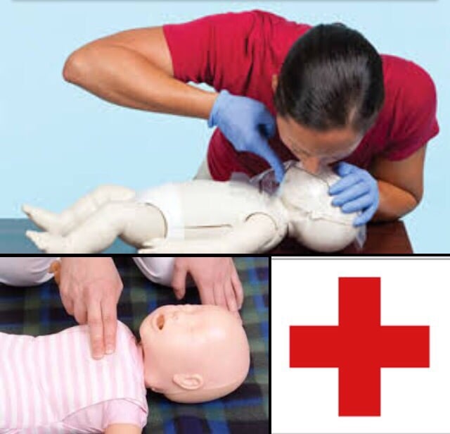 PROFESSIONAL HEALTH SOLUTIONS - Updated December 2024 - Daly City ...