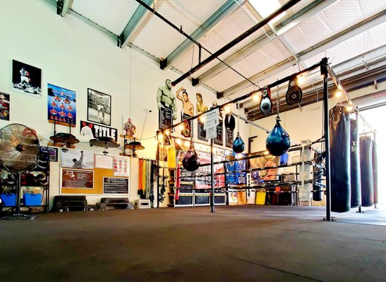 PEARLSIDE BOXING & FITNESS - Updated May 2024 - 24 Photos & 14 Reviews ...