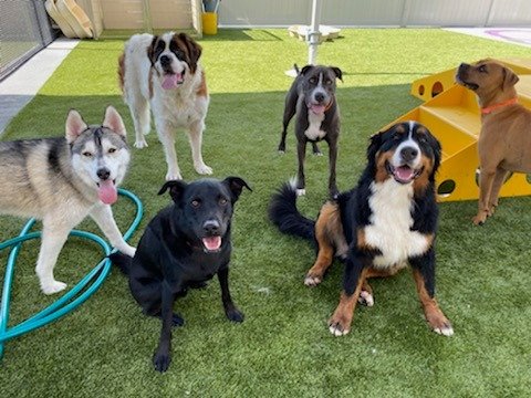 CITY BARK THORNTON - Updated October 2025 - 84 Photos & 28 Reviews ...