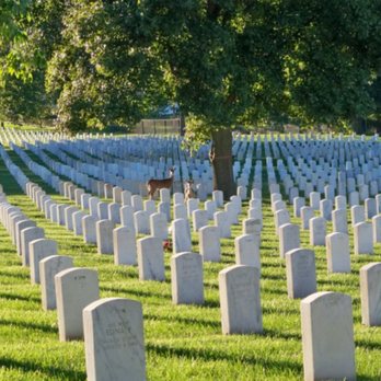 ST. LOUIS VA HEALTH CARE SYSTEM - JEFFERSON BARRACKS DIVISION - Updated ...