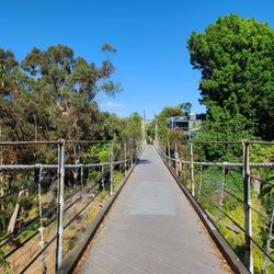 SPRUCE STREET SUSPENSION BRIDGE - 906 Photos & 353 Reviews - Spruce St ...