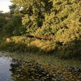 TRUSTOM POND WILDLIFE REFUGE - 150 Photos & 16 Reviews - 1040 Matunuck ...