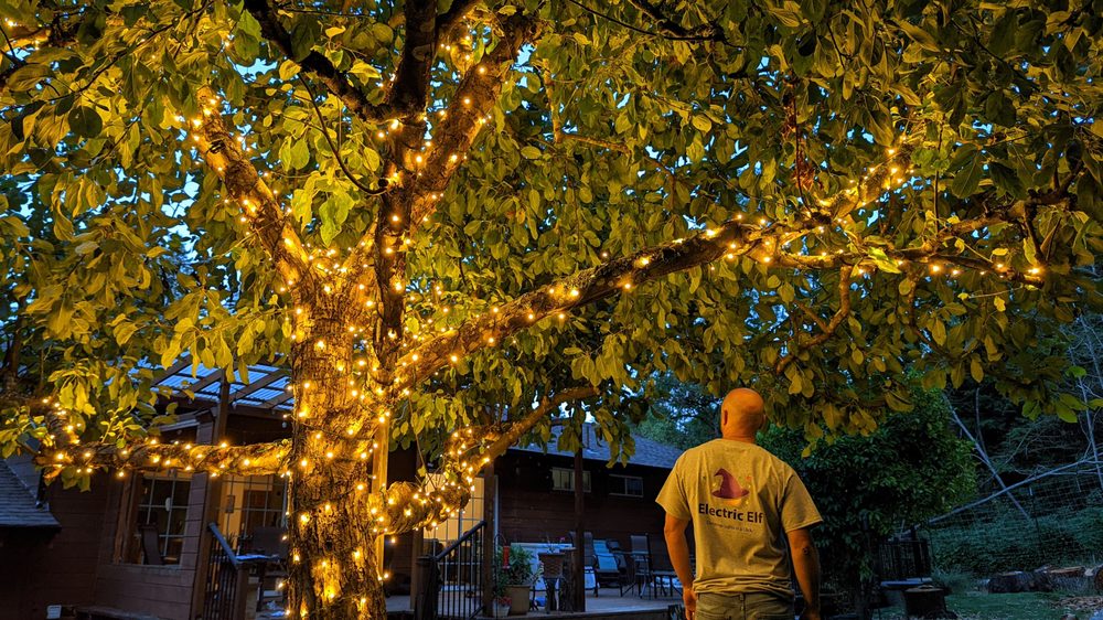 ELECTRIC ELF - Updated January 2025 - 39 Photos - 10285 Hwy 9, Ben ...