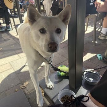 PARAKEET CAFE - Updated August 2025 - 433 Photos & 241 Reviews - 7972 ...