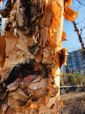 KELLY DRIVE - Updated December 2025 - 119 Photos & 58 Reviews - 10 ...