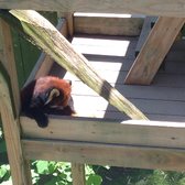 ROGER WILLIAMS PARK ZOO - 1056 Photos & 273 Reviews - 1000 Elmwood Ave ...