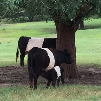 SOUTHERN ROSE RANCH BED & BREAKFAST - Updated August 2025 - 20 Photos ...