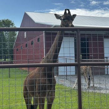 BRIGHT’S ZOO - Updated January 2026 - 95 Photos & 39 Reviews - 3425 Hwy ...