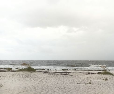 ALLIGATOR POINT - Updated January 2025 - 73 Photos & 15 Reviews - 1389 ...