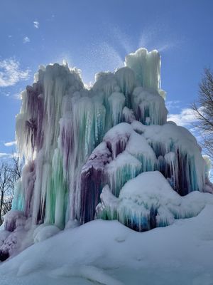 VEAL’S ICE TREE - Updated April 2025 - 36 Photos - 6445 Mimosa Ln ...