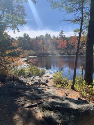 HAROLD PARKER STATE FOREST - Updated September 2024 - 75 Photos & 39 ...