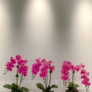 JEREMY HELDT, DDS - 255 Photos & 89 Reviews - 2001 Westcliff Dr ...