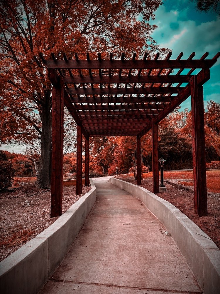 KIDD SPRINGS PARK - Updated October 2025 - 78 Photos & 16 Reviews - 700 ...