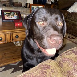 HOLY CROSS HOSPITAL - 69 Photos & 273 Reviews - 1500 Forest Glen Rd ...