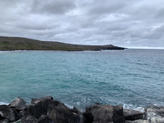 TRINITY WELLNESS CENTER - Updated December 2025 - 11 Photos & 21 ...