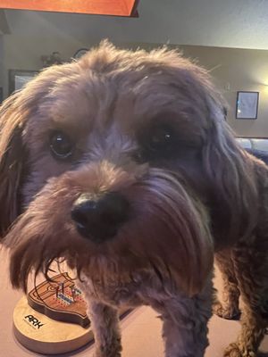 ALBINO’S MEATS & CATERING - Updated January 2026 - 2316 Lake Ave ...