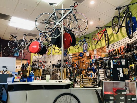 BC FITNESS PLUS CAFE - Updated December 2025 - 42 Photos & 39 Reviews ...