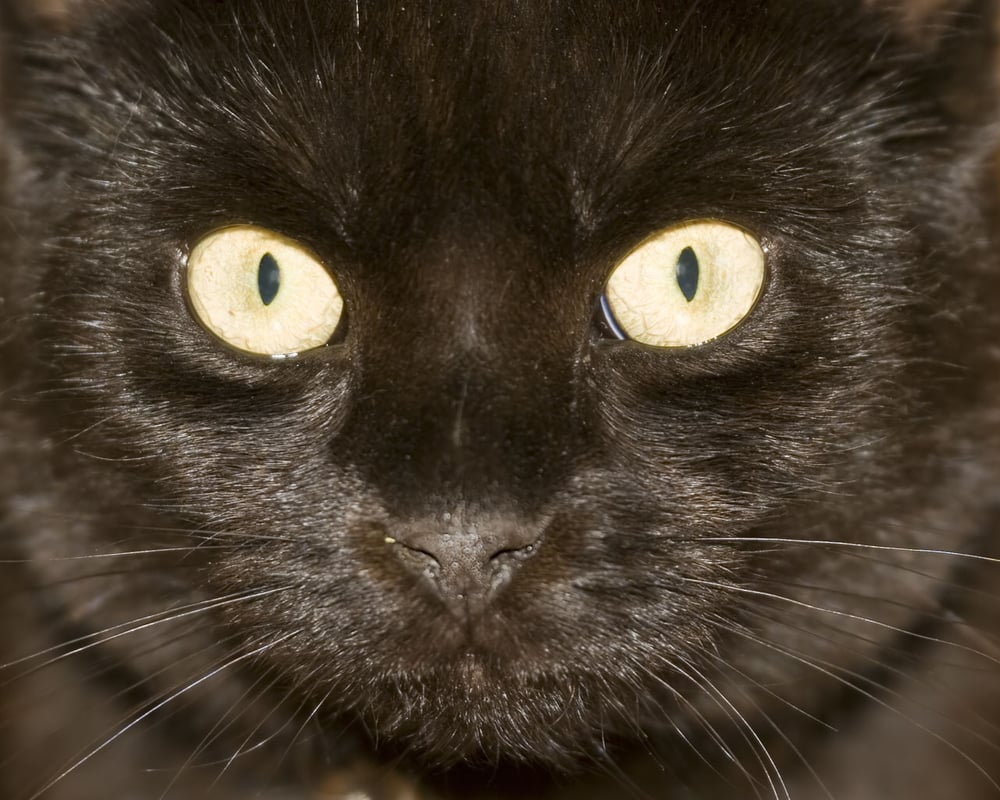 KUNT THOMAS PRIV. DOZ.DR.MED. FACHARZTPRAXIS FÜR INNERE | Friedrichstr ...