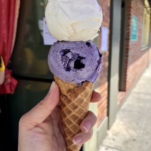 TARA’S ORGANIC ICE CREAM - 384 Photos & 969 Reviews - 3173 College Ave ...