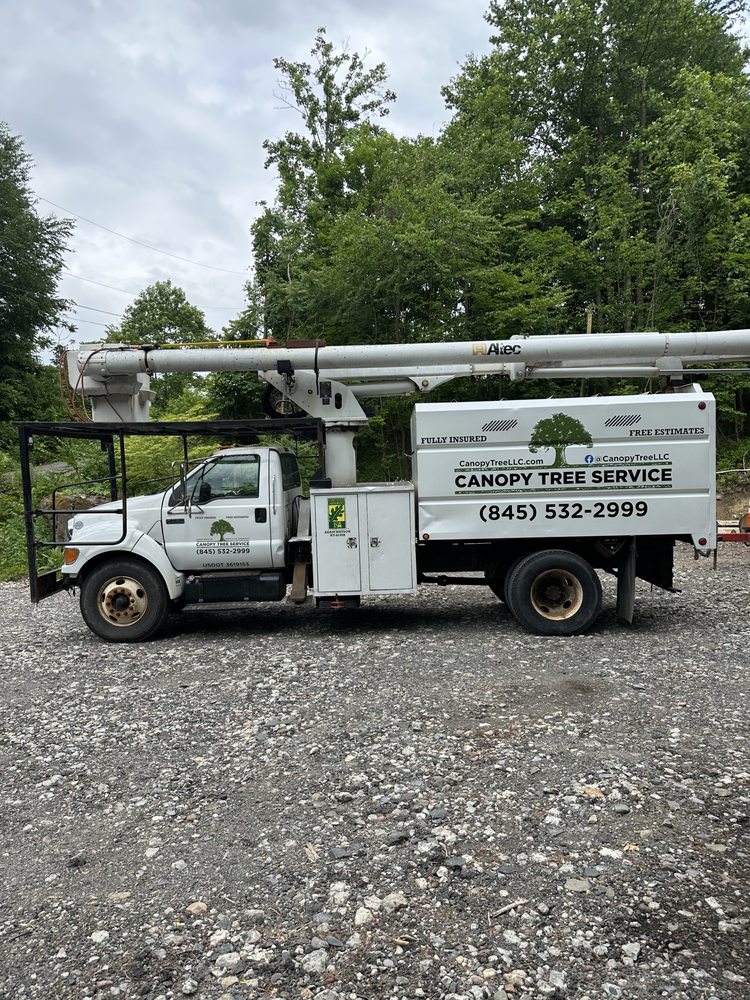 CANOPY TREE SERVICE - Updated September 2025 - 11 Photos - Rosendale ...