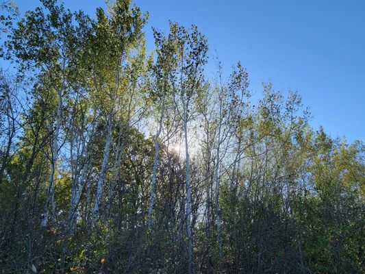 BENDER PARK - Updated July 2025 - 70 Photos & 14 Reviews - 4503 E Ryan ...