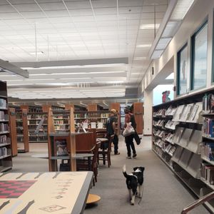 QUARTZ HILL LIBRARY - Updated October 2025 - 14 Photos & 20 Reviews ...