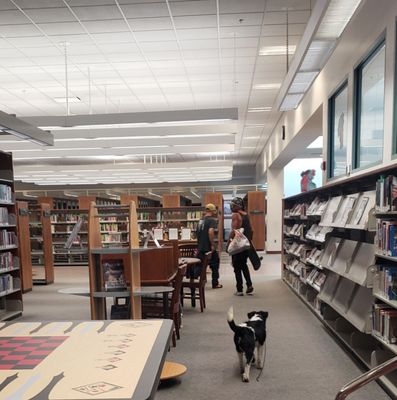 PALMDALE CITY LIBRARY - Updated December 2025 - 14 Photos & 19 Reviews ...